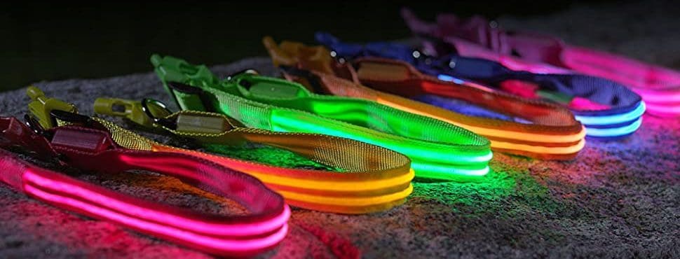Yorkie Collars (Best Dog Collars + A Warning)